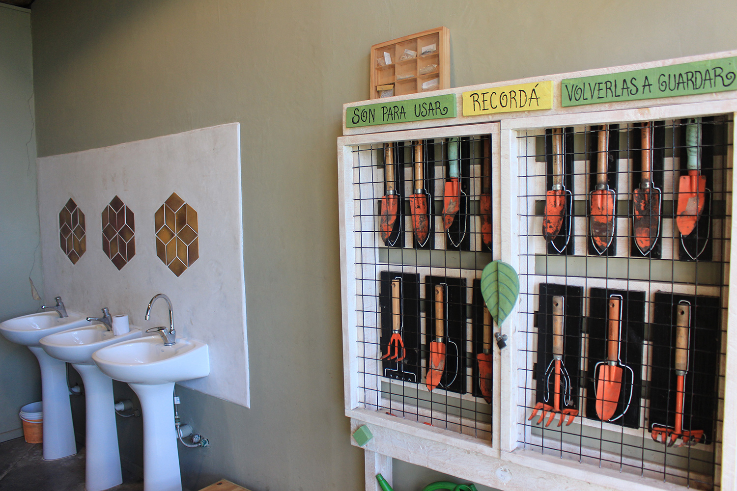 Escuela sustentable – Revista Acción